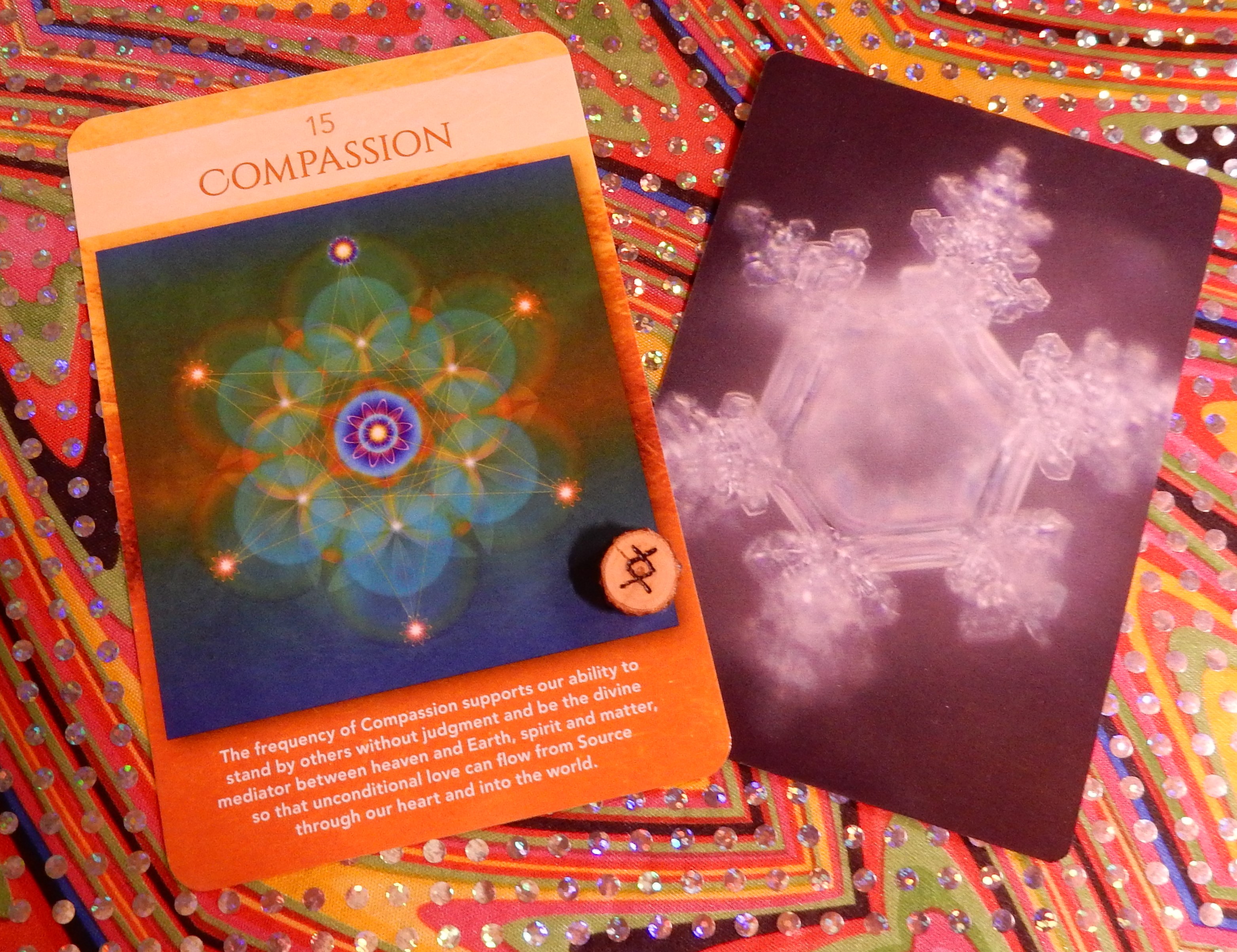 Dragonfly Oracle for February – Faery Garden LLC