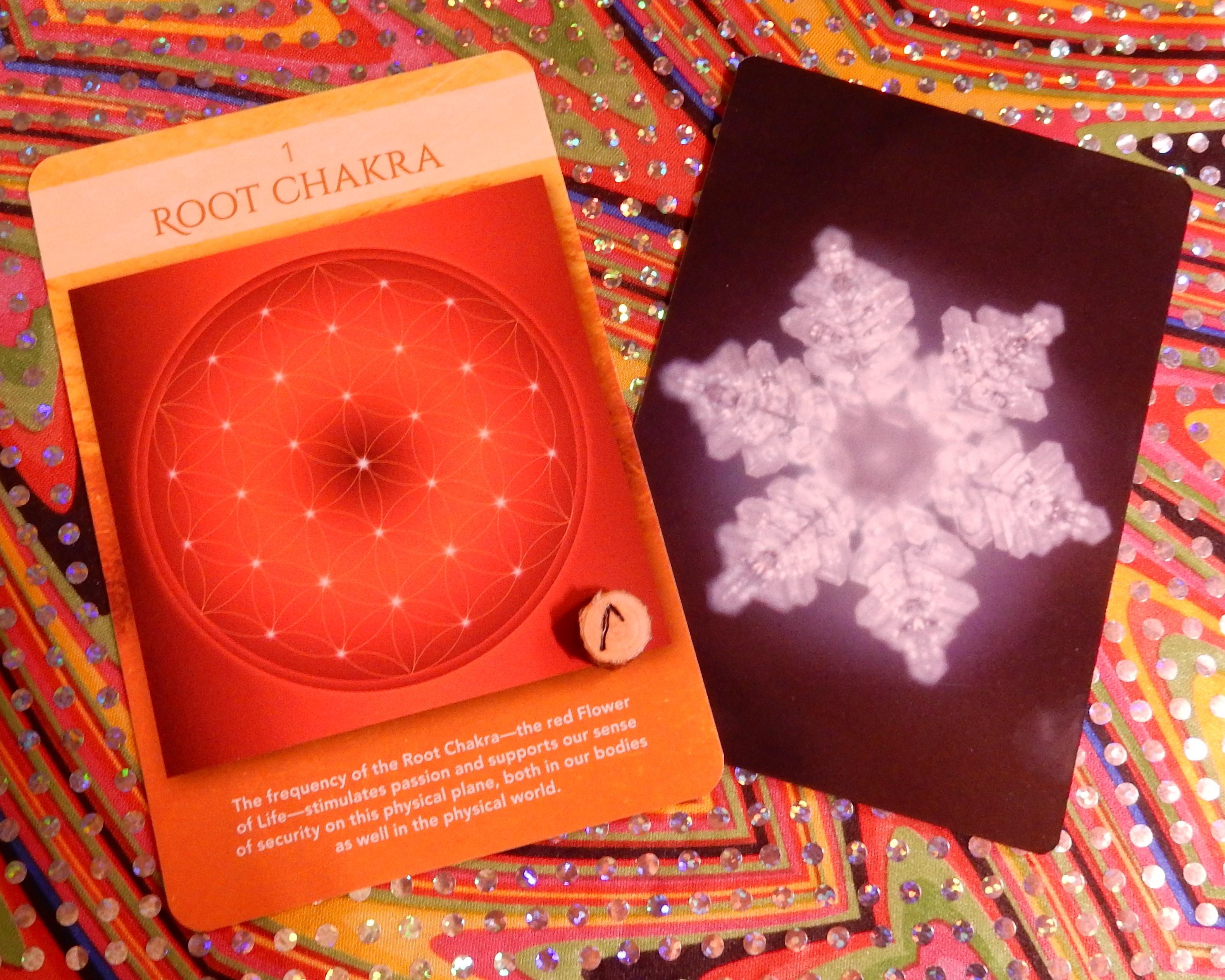 Dragonfly Oracle for March – Faery Garden LLC